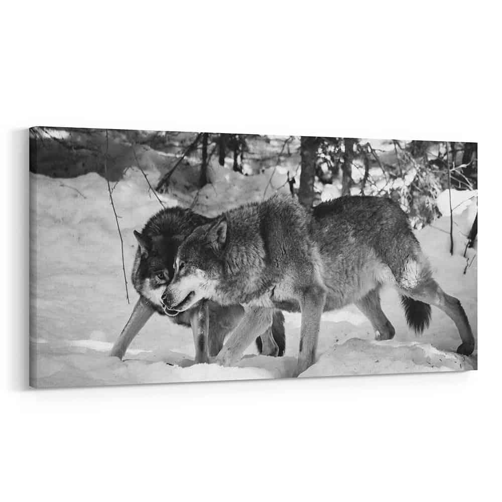 2 Wolves Hunting In Winter Canvas Wall Art | 365Canvas