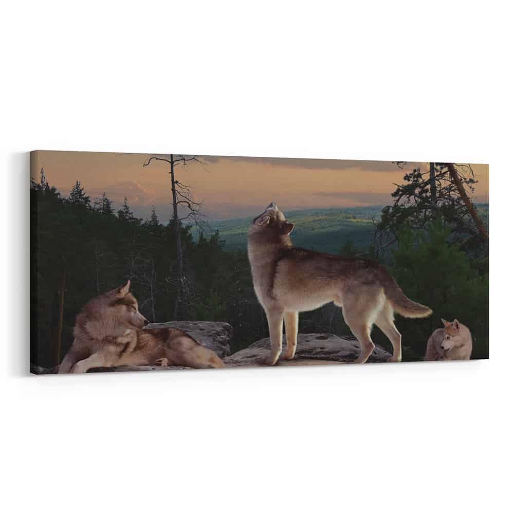 A Pack Of Wolves On The Rock Canvas Wall Art | 365Canvas