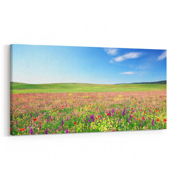 Custom Large Canvas Prints from Your Photos | 365Canvas