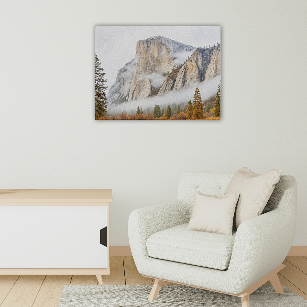 16x20 Photo Canvas Print | 365Canvas