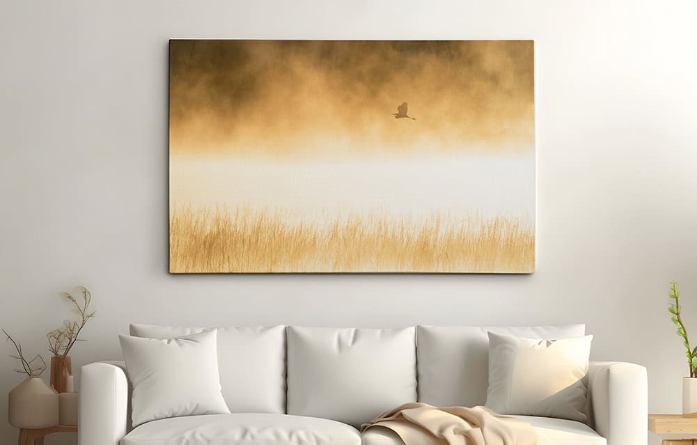 Create High-Quality Canvas Prints Online | 365Canvas